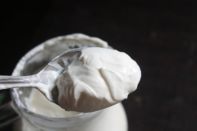 How To Make Sour Cream At Home Sour Cream Recipe