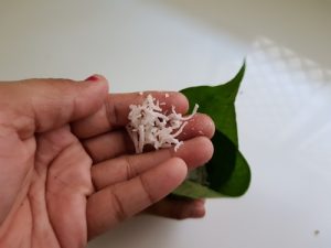 Sweet Paan Recipe - Meetha Paan Recipe - How to Make Paan