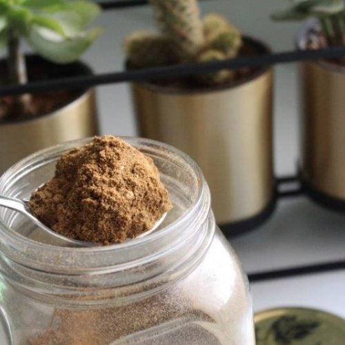 Coriander Powder Recipe | How to Make Coriander Powder