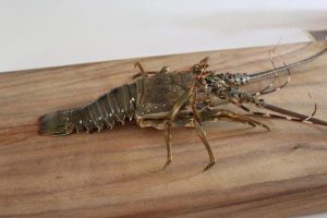 Chilli Lobster Recipe - Lobster Tail Recipe - Yummy Tummy