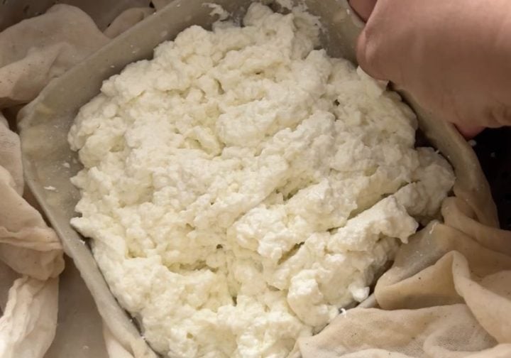 Homemade Paneer Recipe (How to Make Paneer)