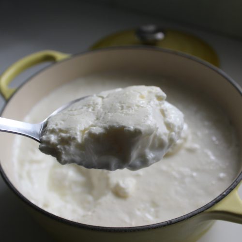 Homemade Greek Yogurt Recipe How To Make Greek Yogurt