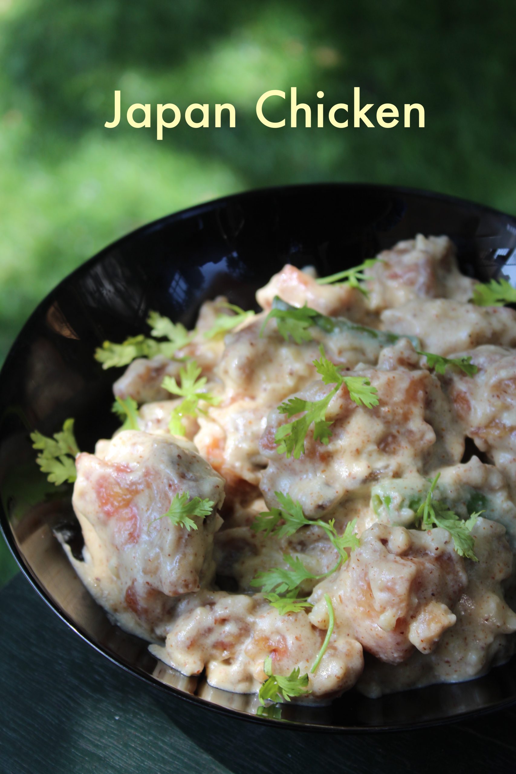 Japan Chicken Recipe | Erode Special Japan Chicken