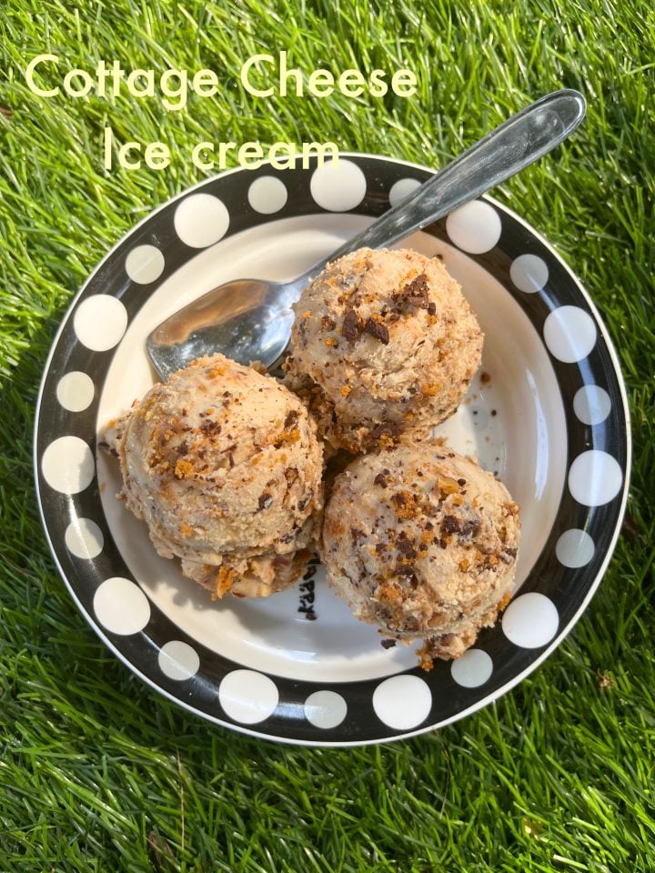 Cottage Cheese Ice Cream Recipe