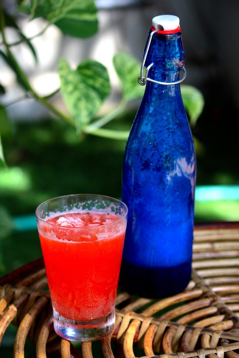 Ginger Bug Recipe (How to Make Soda at Home Naturally)
